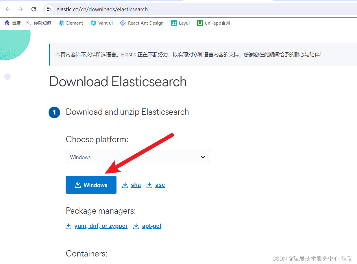 Elasticsearch Windows下载安装并启动 Elasticsearches游戏逆向游戏安全 