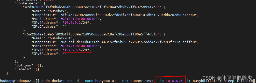 容器-docker 子网_游戏逆向|游戏安全|yxfzedu.com